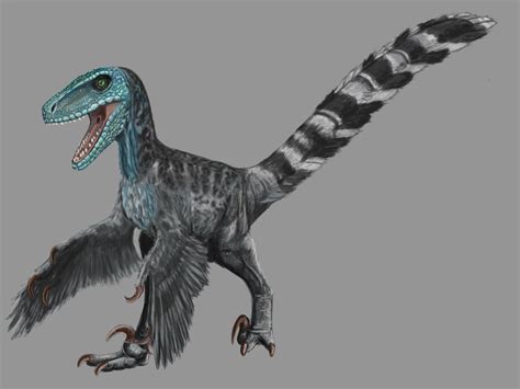 Jurassic Fight Club Deinonychus By Kingrexy On Deviantart