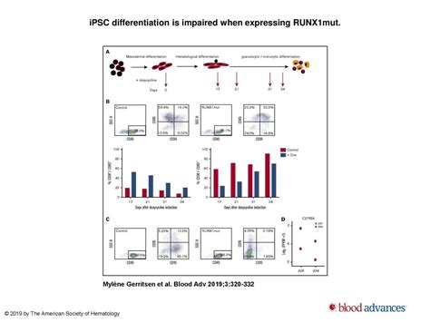 RUNX1 Mutations Enhance Self Renewal And Block Granulocytic