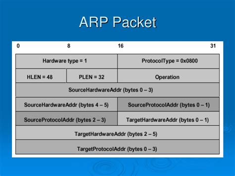 Ppt Ip Internet Protocol Addresses Powerpoint Presentation Free Download Id3481812 Ppt Ip Internet Protocol Addresses Powerpoint Presentation Free Download Id3481812