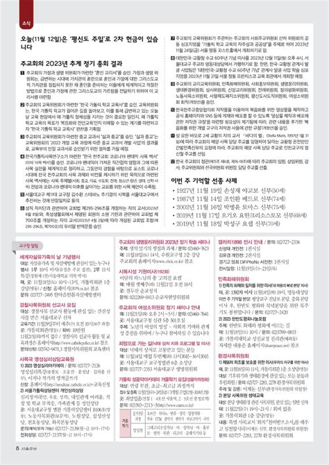 Daum 카페