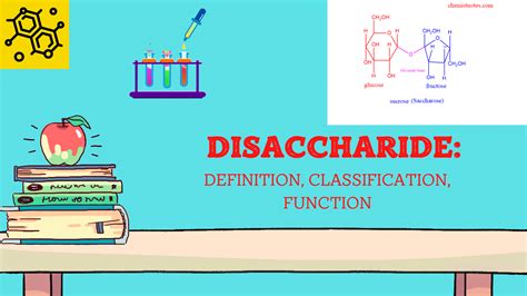 Disaccharides Definition Classification Examples And 4 Reliable Function Chemistry Notes