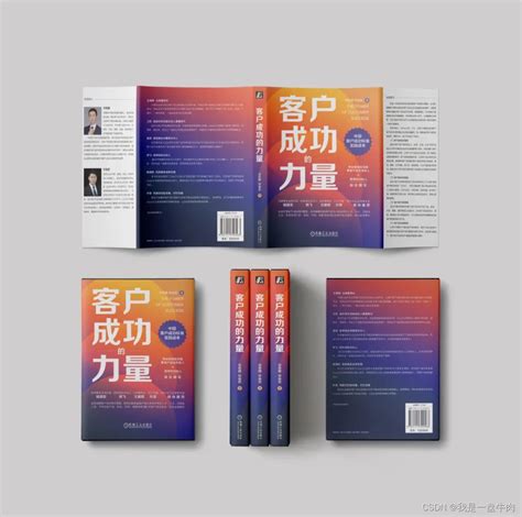 【牛牛送书 第一期】《客户成功的力量》全面讲解客户成功所需的理论知识和实操指导客户成功力 Csdn博客