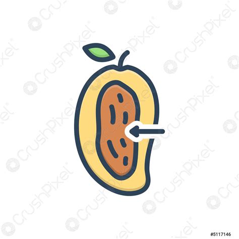 Kernel Stock Vector 5117146 Crushpixel