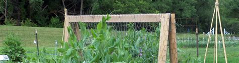 Cucumber Trellis Archives SeedSavers