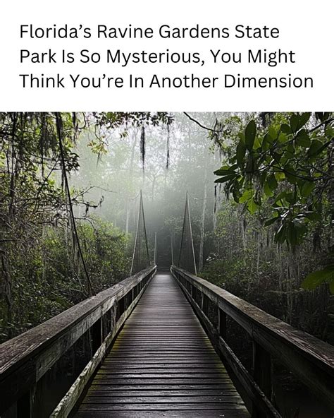 Florida Ravine Gardens State Park Is So Mysterious Its Like Another