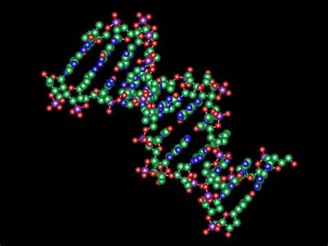 Scientists Discover Hidden Code In Dna Kurzweil