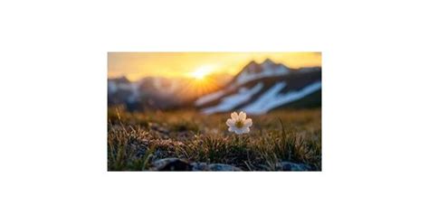 Robert Michael Lewis Obituary 1954 2025 Enfield Ct Wfsb