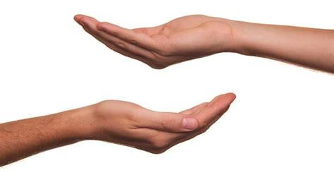 a simple guide to add donate button on website marketing mind