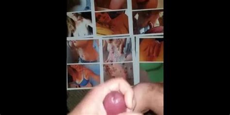 Multiple Pre Cum Loads On Cum Tribute For Strangers Wife Tnaflix Com