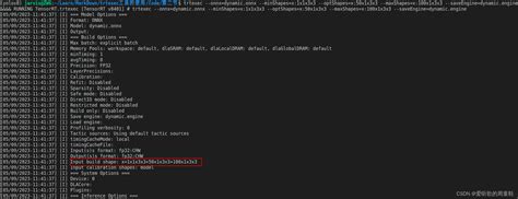 如何熟练的使用trtexec Csdn博客