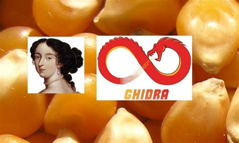 windows kernel driver static reverse using ida and ghidra vegvisir