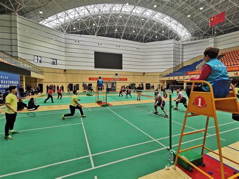 2020年陕西省群众羽毛球城际联赛安康选拔赛暨安康市职工羽毛球赛开赛 岚皋县人民政府