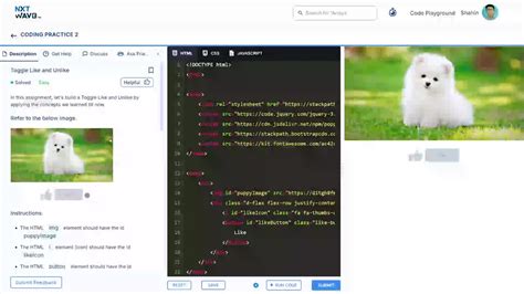 shahin m hashim on linkedin day62 100daycodingchallenge ccbpian ccbp nxtwave javascript…