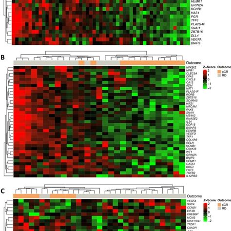 heatmap of gene expression data using unsupervised hierarchical