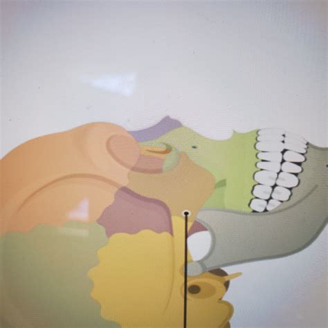 Axial Skeleton Lab 2 Zygomatic Bone Sutures Temporal Bone Flashcards Quizlet