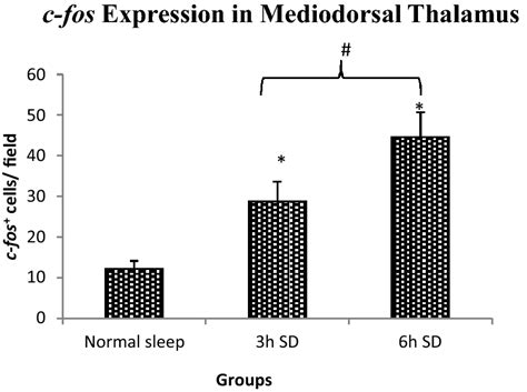 C Fos Expression In The Mediodorsal Thalamic Nuclei In Control After 3 Download Scientific