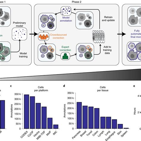 A Human In The Loop Approach Enables Scalable Pixel Level Annotation Download Scientific