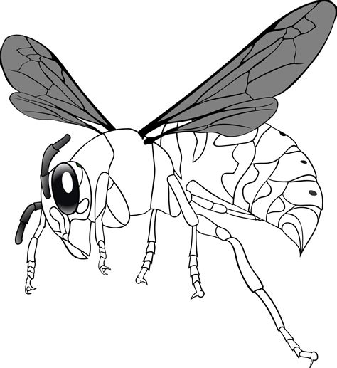 Buzzing With Simplicity Bee Line Art For Your Design Needs