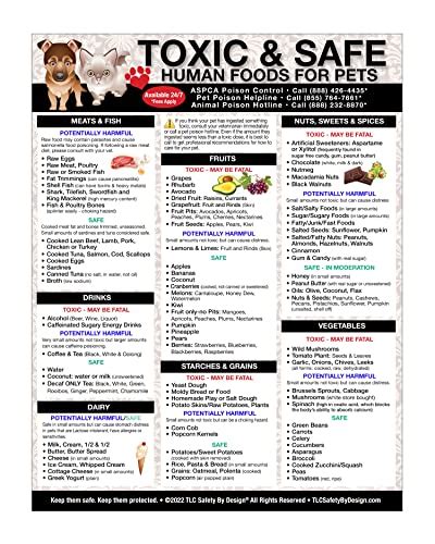 Top 5 Cat Food List Reviews And Expert Guide For Feline Health