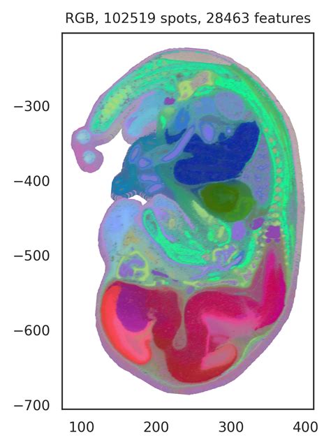 load stereo seq data using pysodb — soview doc documentation