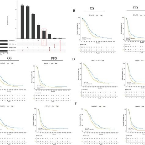 Identification Of Prognostic Biomarkers In Patients With Oc A The Download Scientific