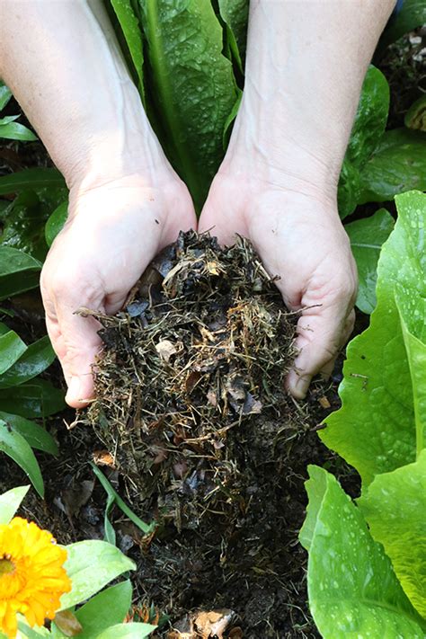 How To Make Your Own Compost The Gardener Magazine The Gardener