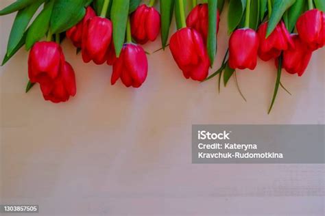 흰색 나무 배경에 빨간색 튤립 프레임 테두리 맨 위 보기입니다 공간을 복사합니다 꽃 모형 아름다움 스타일 패션 플랫 레이 0명에 대한 스톡 사진 및 기타 이미지 Istock