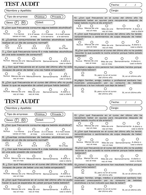 Test Audit Pdf Test Audit Pdf
