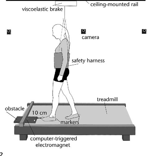 Table 2 From Effect Of Peroneal Electrical Stimulation Versus An Ankle Foot Orthosis On Obstacle