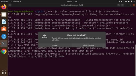 Run Selenium Grid In Background On Linux
