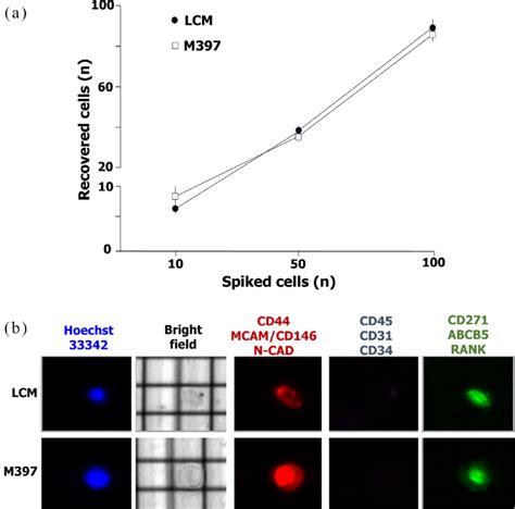 Detection Of Melanoma Cell Lines By Deparray Technology Based On The