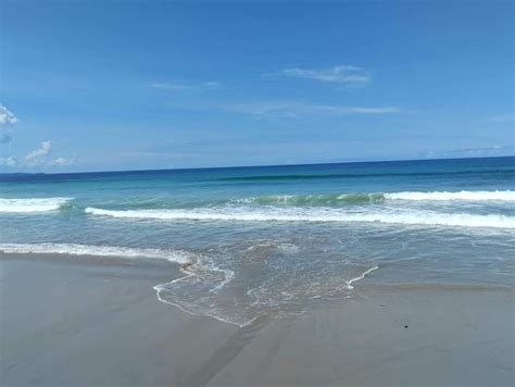 ငွေဆောင်ကမ်းခြေ ဧည့်လမ်းညွှန်