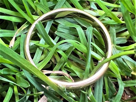 Lost Ring During Wasp Attack Returned With A Metal Detector