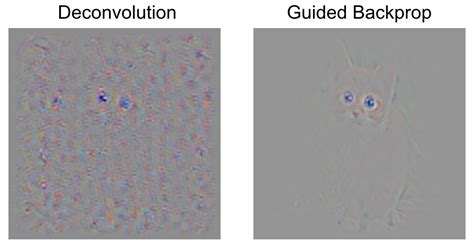 Gradient Weighted Class Activation Mapping Grad Cam By Mohamed
