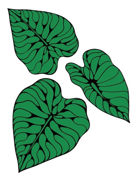Premium Vector Vector Leaf And Twig Design Premium Vector Vector Leaf And Twig Design