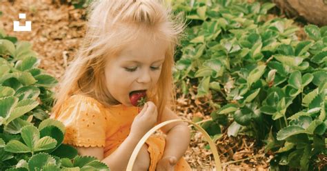 야채 바구니에 앉아 있는 어린 소녀 사진 Unsplash의 무료 바깥 이미지