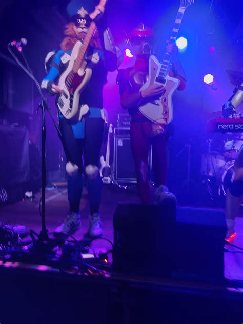 Commander Meouch Convinced Me To Try Bass Any Tips For Beginners R Twrp