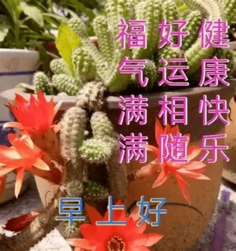 只希望你一切安好照顾好自己 时间 一世 一生