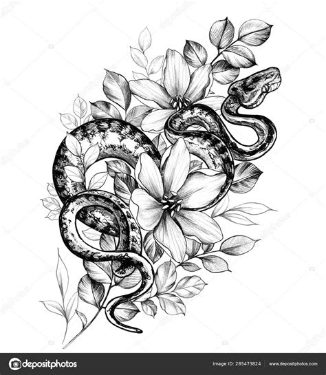 How To Draw A Flower Using Python