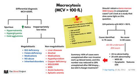 Macrocytosis • The Blood Project