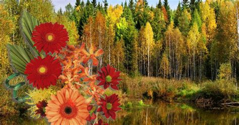 Індивідуальний орієнтовний план освітньої роботи вихователя групи раннього віку Жовтень 2023