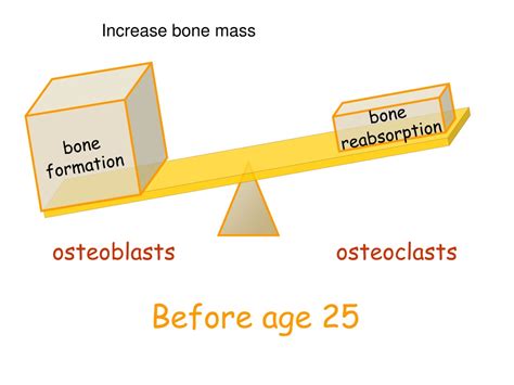 Ppt Osseous Tissue Bone Tissue Powerpoint Presentation Free