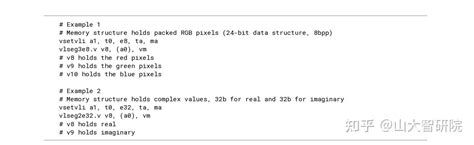 RISC V V 矢量扩展二 知乎