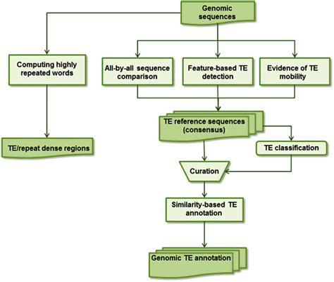 4 Workflow For Annotating Tes In Genomic Sequences Download