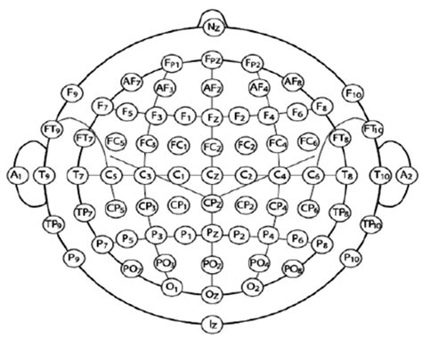 10 20 Electrode Position System Download Scientific Diagram