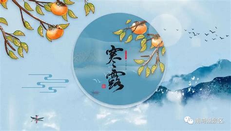 今日寒露秋已深寒露凝 信阳市南湾湖景区官网