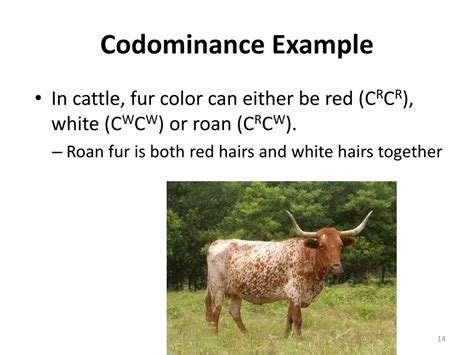 Ppt Non Mendelian Inheritance Patterns Modes Of Inheritance H