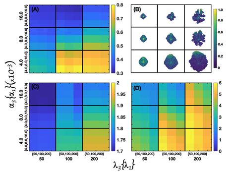 Microarrays That Correspond To A 2d Tumor A Fraction Of Cancer