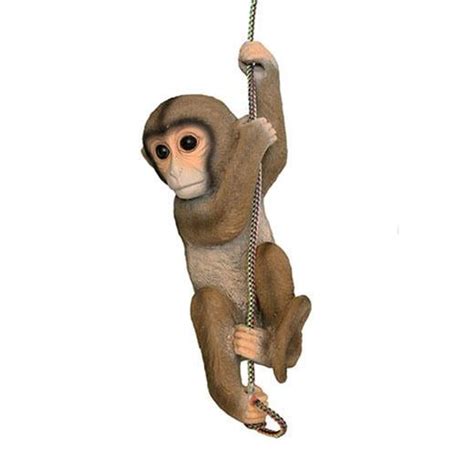 ᐉ Садова фігура ДомФигурок Мавпа на мотузці 1929 • Краща ціна в Києві Україні • Купити в Епіцентр