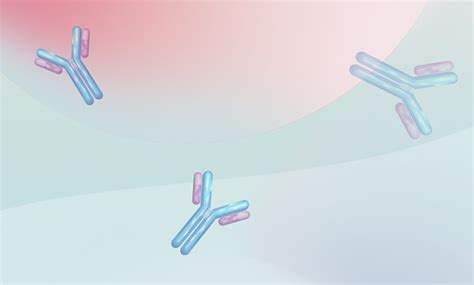 High Throughput Fully Human Antibody Discovery Biointron